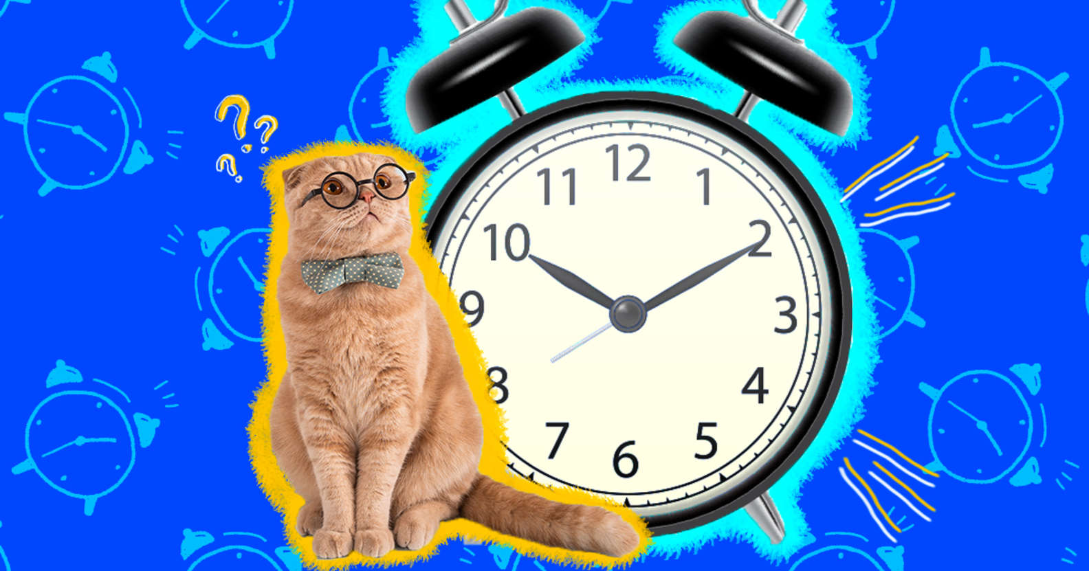 CAT TIME Can My Cat Tell Time PETtoVET