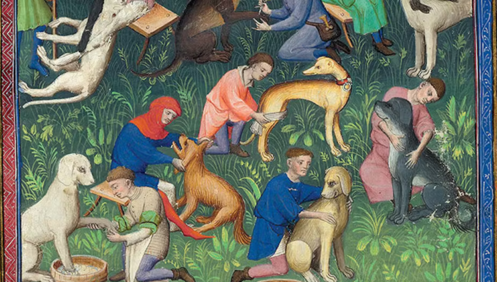Dogs in the Middle Ages • Pet to Vet